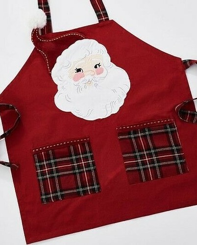 Pottery Barn holiday Apron Santa Disney gift Christmas school kid ...