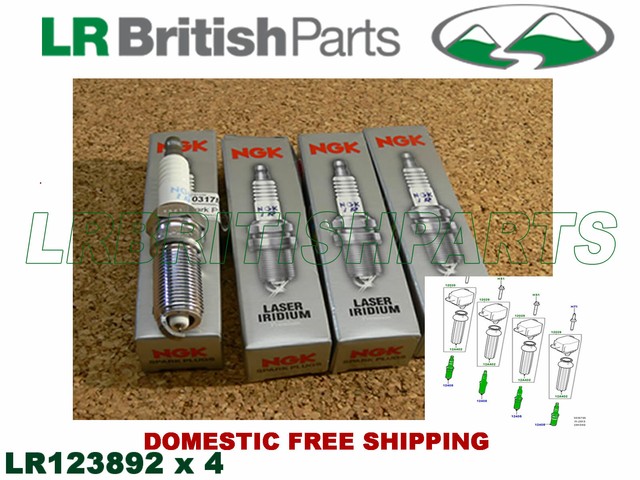 LAND ROVER SPARK PLUG 2.0L 16V PETROL SET OF 4 LR123892 NGK for sale ...
