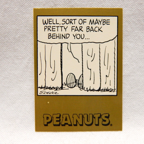 SALLY CHARLIE BROWN CHARLES M. SCHULZ PEANUTS TRADING CARD #395 | eBay