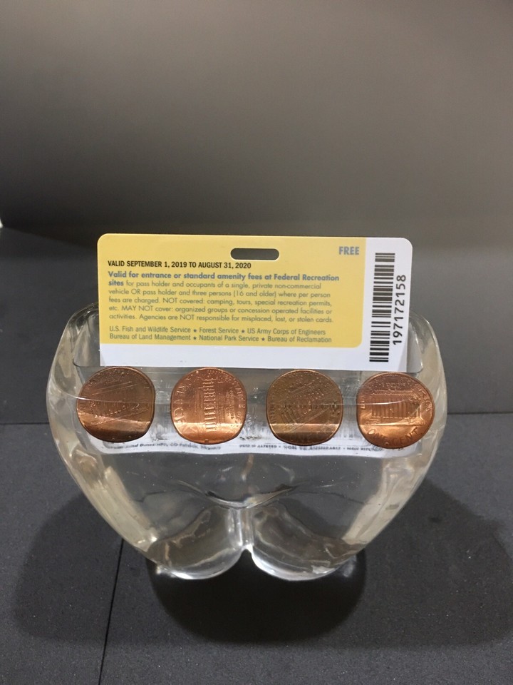 Business Card Holder Good Desk Collection Only One Made Resin New Item ...