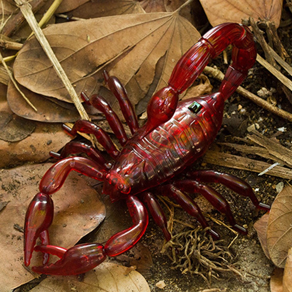 Scorpion RC Toy Remote Control Scorpion Infrared Joke Insect Scary ...