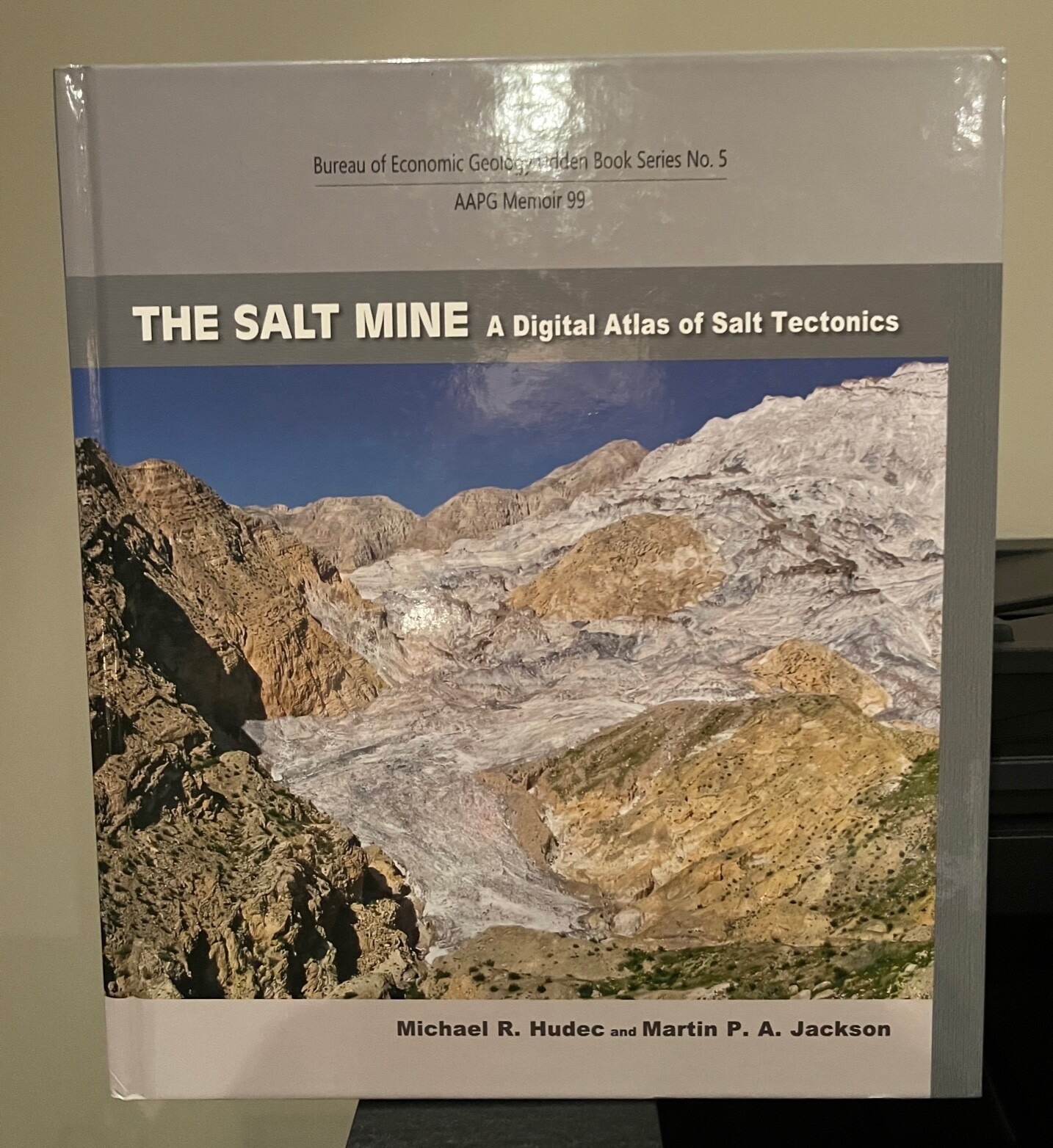 Salt Mine by Martin Jackson and Michael Hudec (2011, Hardcover) for ...