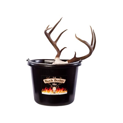 On Time Buck Boiler ~ Deer/Hog Skull Bucket to Make European Mounts ...