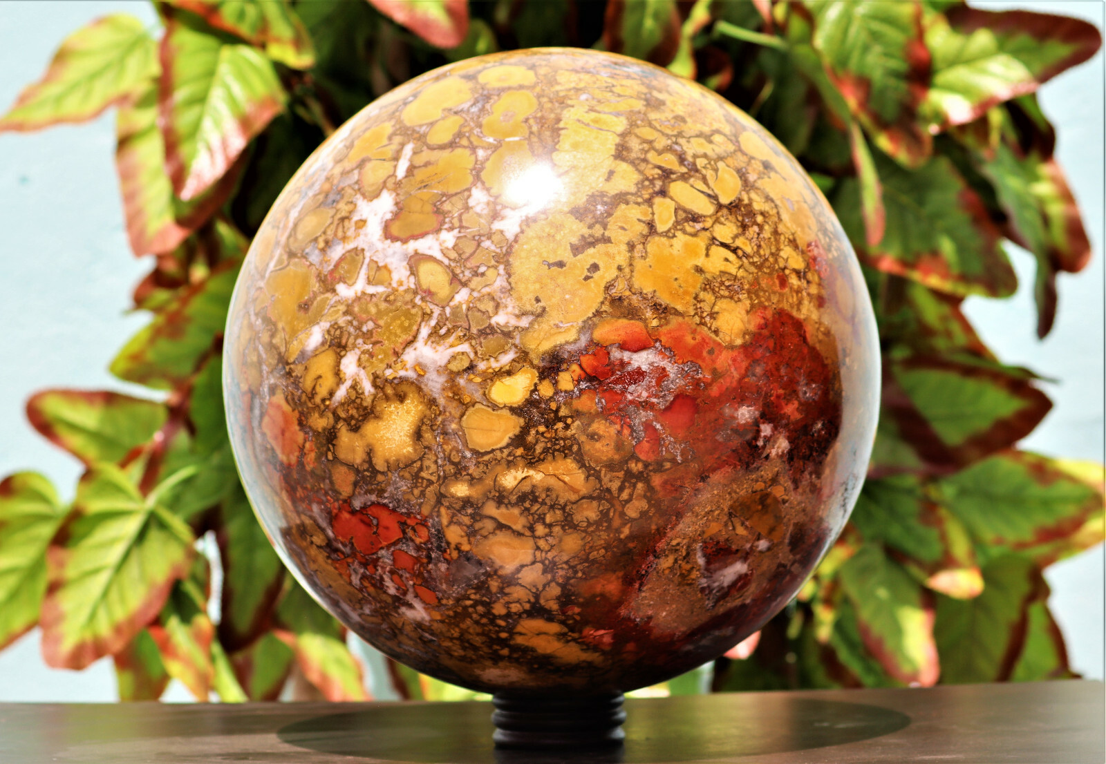 Huge 305MM Natural Red & Yellow Cobra Jasper King Cobra Jasper Stone ...