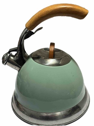 Tea Kettle Enameled Pistachio & Stainless Steel Masterclass Premium ...
