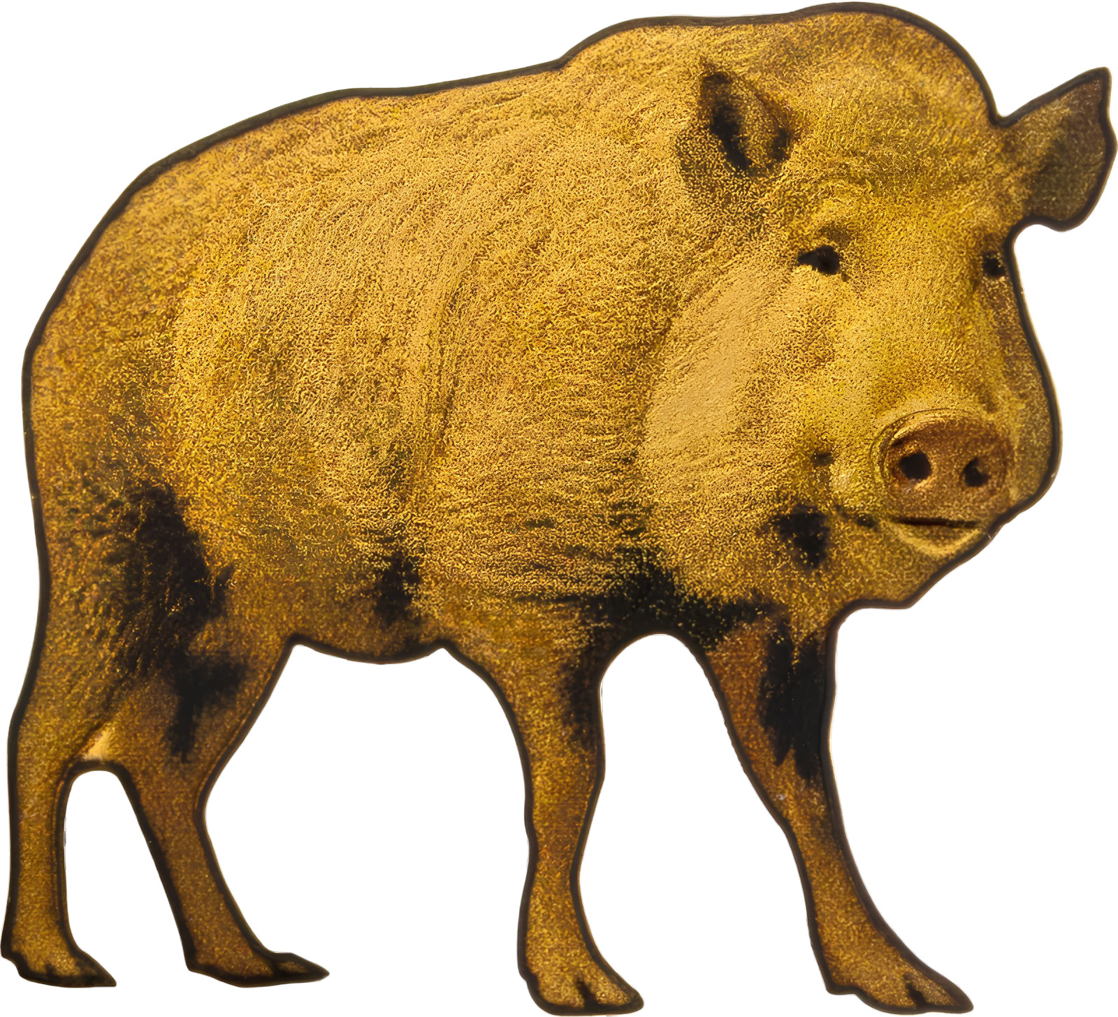 2025 Congo .999 Gold Coin Wild Pig Boar Color Proof, WWF