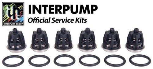 General Pump 20mm Rebuild Kit for T TS Series T1011 TS1011 TS1511 TS2021 TS2011 | eBay