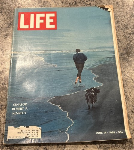 VTG Life Magazine 1968 - Special Issue The Presidency/Senator Robert F ...