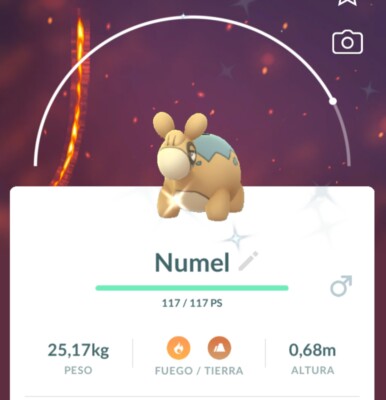 Pokemon Shiny Numel - Camaub - Chamallot POKEMON GO | eBay