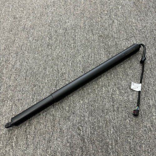 OEM 81831-S1600 DRIVE UNIT ASSY-PWR T/GATE,LH Left for Hyundai SantaFe ...