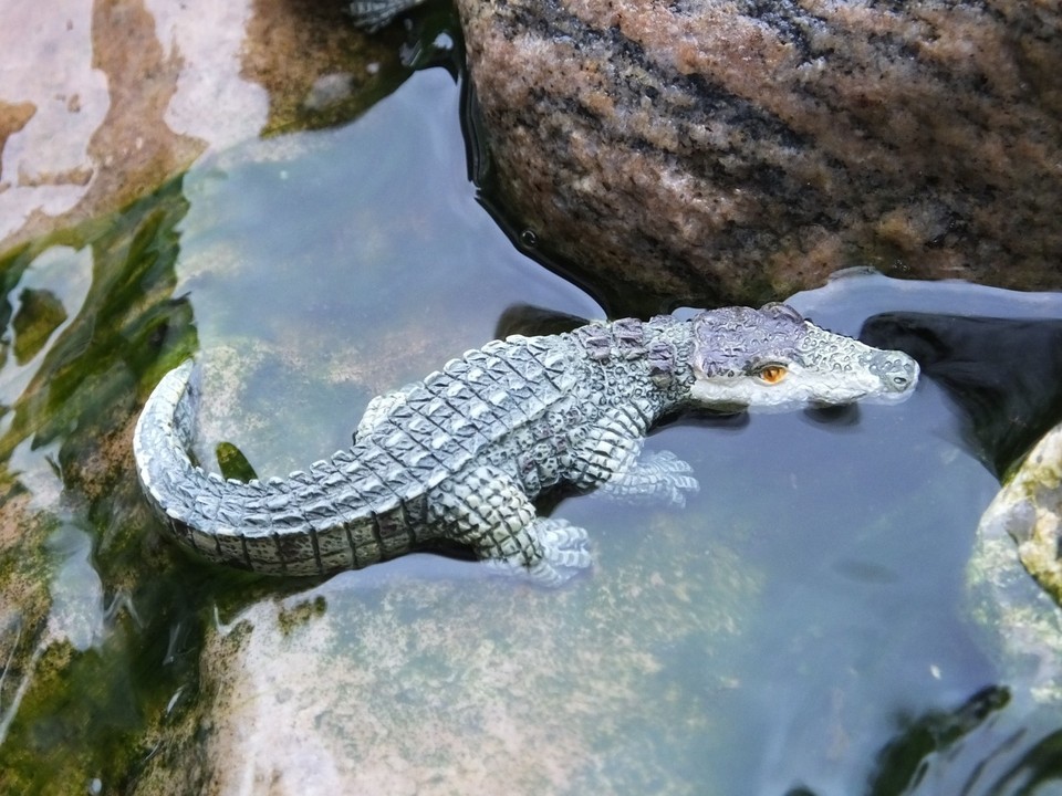 Custom Alligator Miniature Figures (2) for your Modeling / Model Train ...