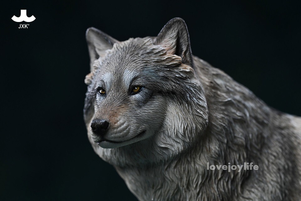 JXK 1/6 Arctic Wolf Model Canis Lupus Arctos Figure Wild Animal ...