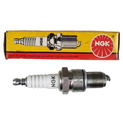 NGK Spark Plug 7811/BP6ES | eBay Australia
