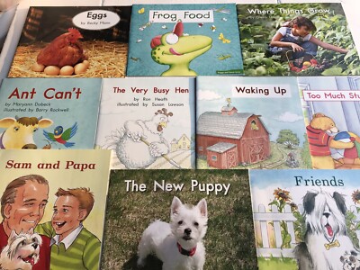 Lot of FOUNTAS & PINNELL 10 Lap Books Big 11" x 13" LLI Green System ...