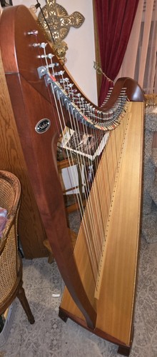 Salvi Livia Lever Harp 36 String 5 Octaves New Strings Tune-up Mahogany ...