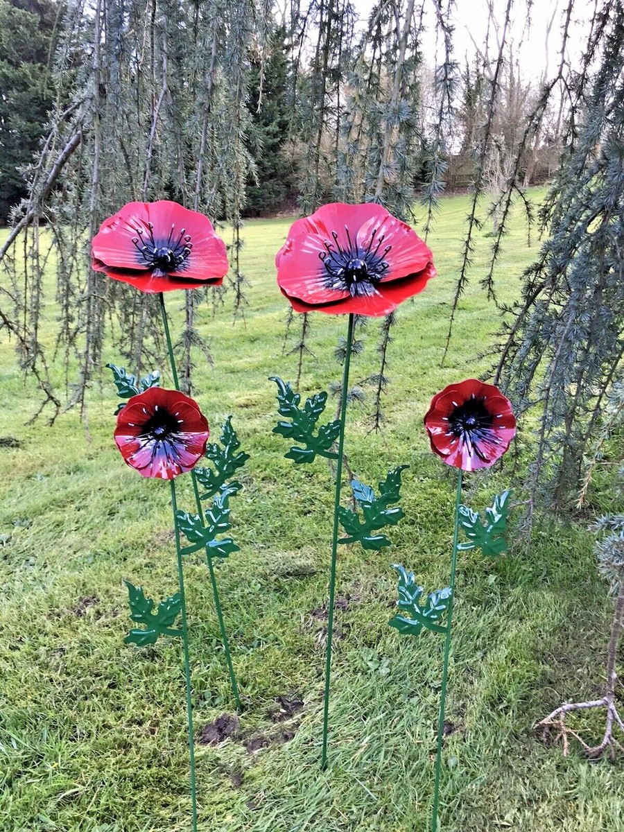 Poppy Flowers In Landscape
