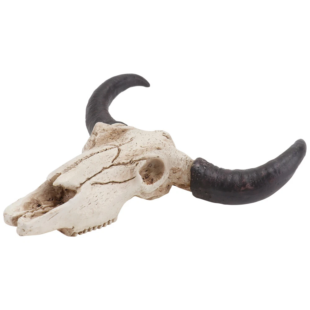 Decorated Bull Skulls