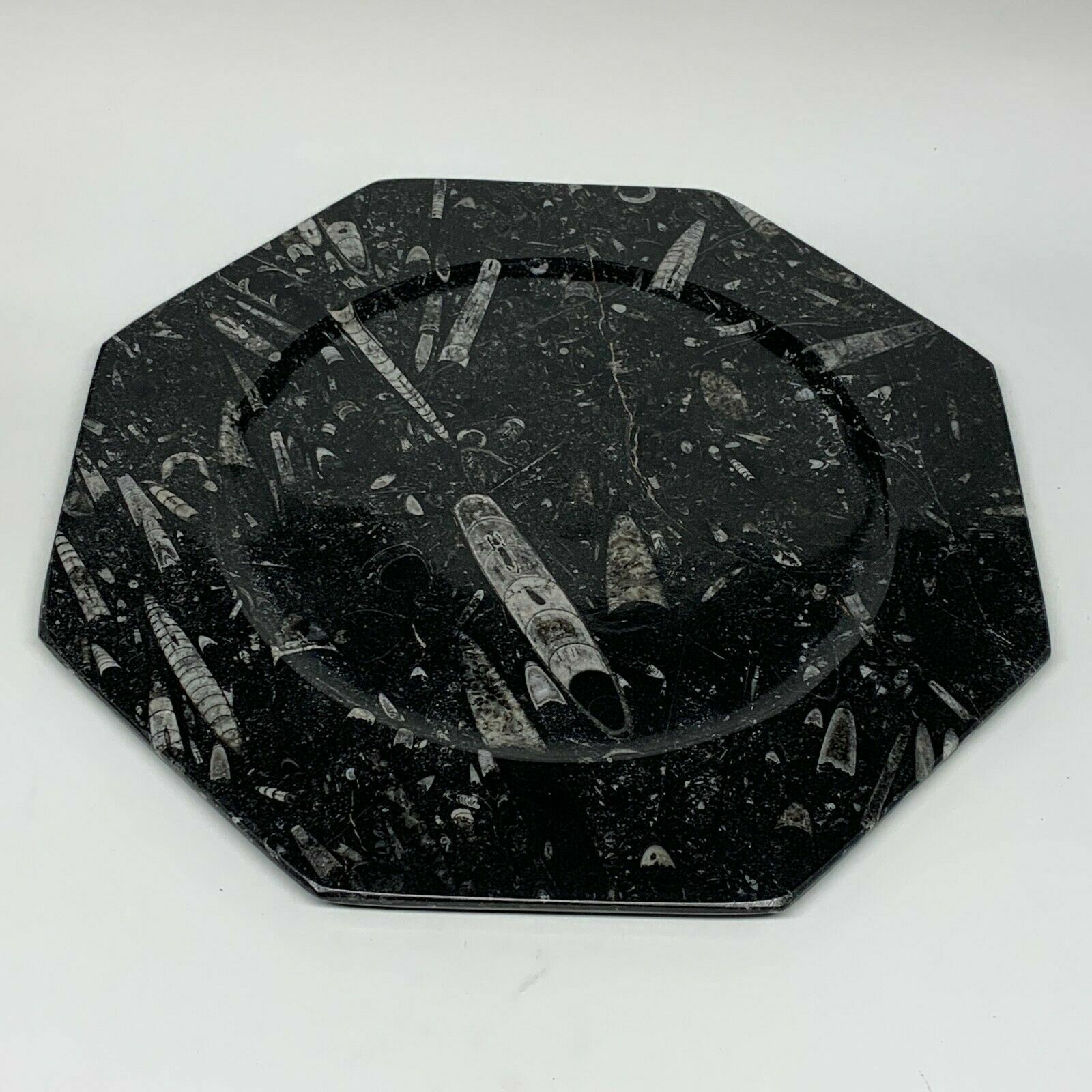2pcs set,12" Large Octagon Shape Fossils Orthoceras Plates Black ...