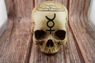Alchemy Skull, Pentagram Skull, Real Human Skull Replica, Astrology ...