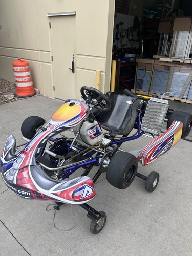 ARROW ROTAX DD2 Shifter Race Go Kart 90+ MPH | eBay