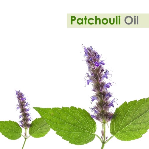 Patchouli Flower