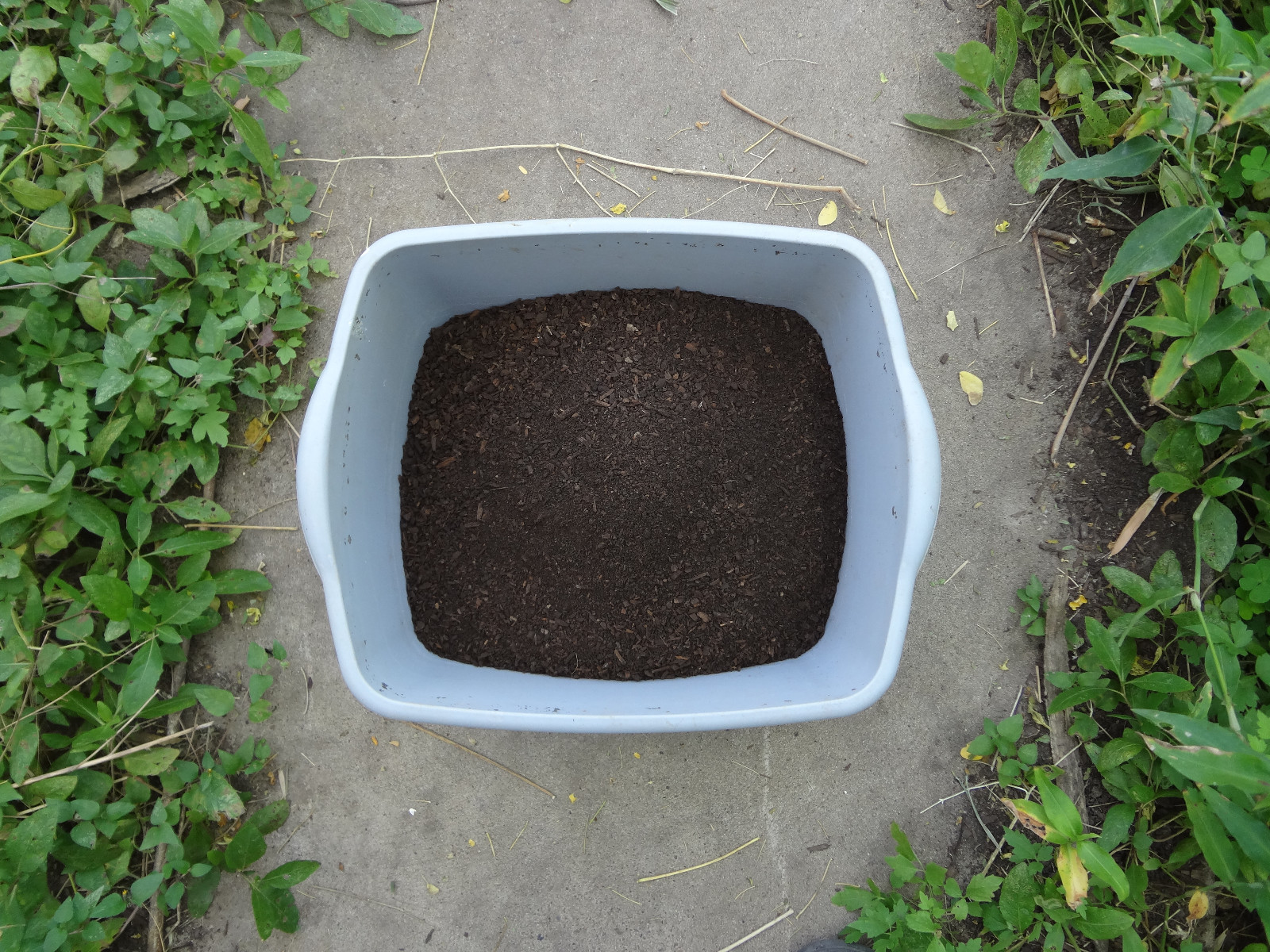 100% Pure Aged Dried Sifted Horse Manure Compost Approx 3.5 Gallons | eBay