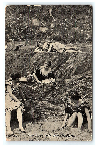 Swimsuits Girls on Rocks 1909 Antique Risque Photo Postcard Fine Birds ...