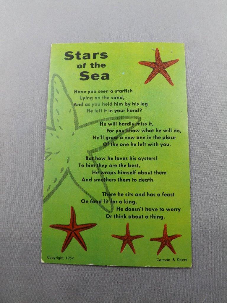 SEA STARS POSTCARD STARFISH POEM RHYME FISH COLLECTOR | eBay