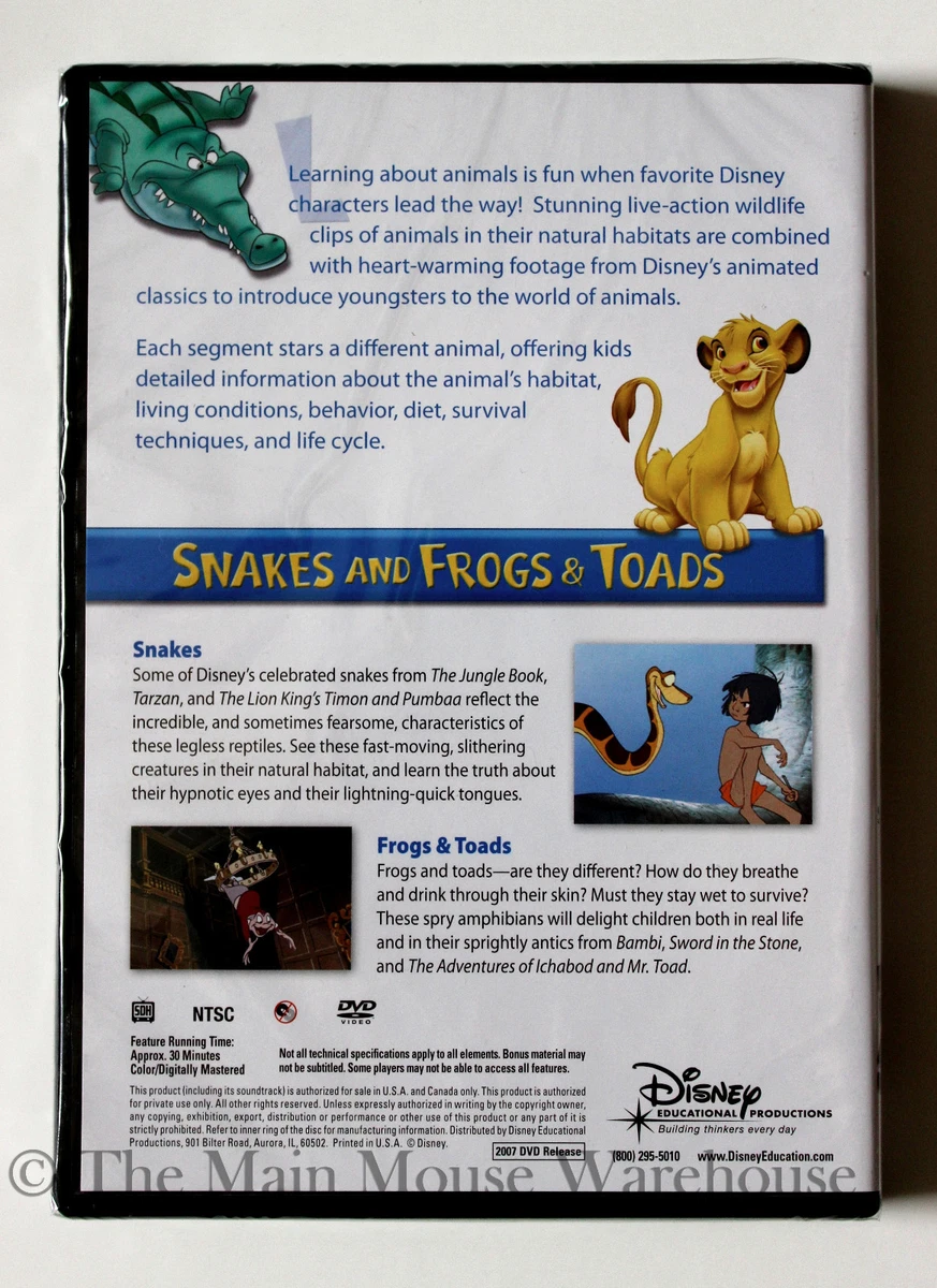 Disney Animals In Real Life