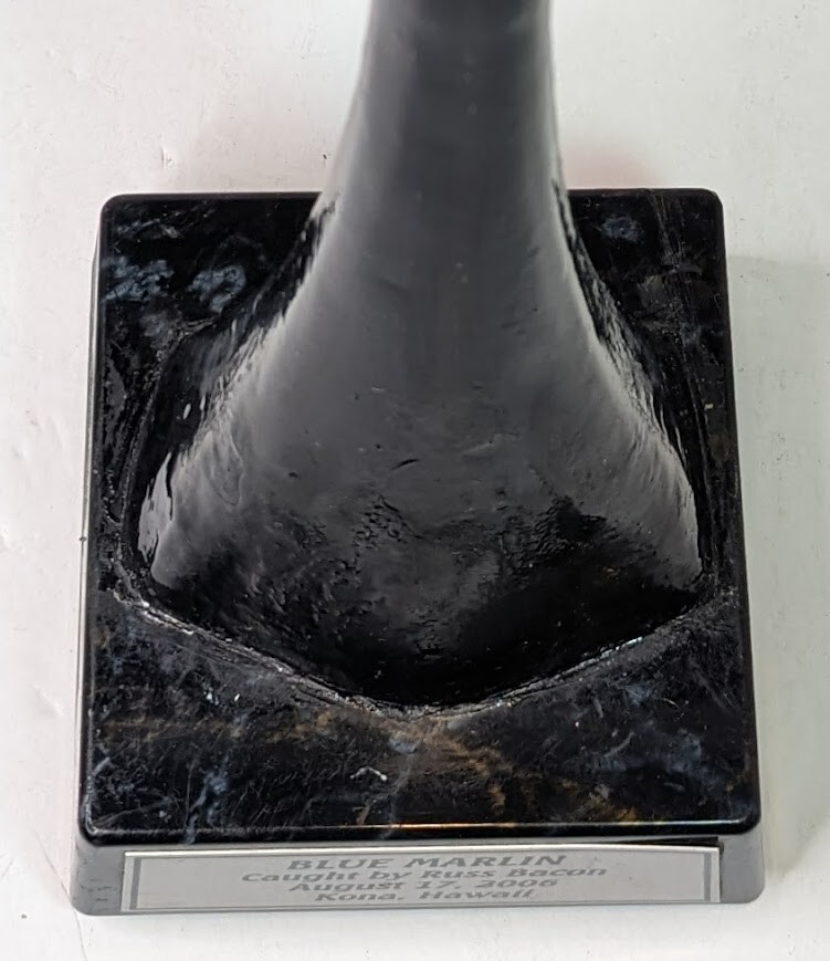 Blue Marlin Bill Trophy Mount Taxidermy 17" Kona Hawaii - TIKI BAR ...