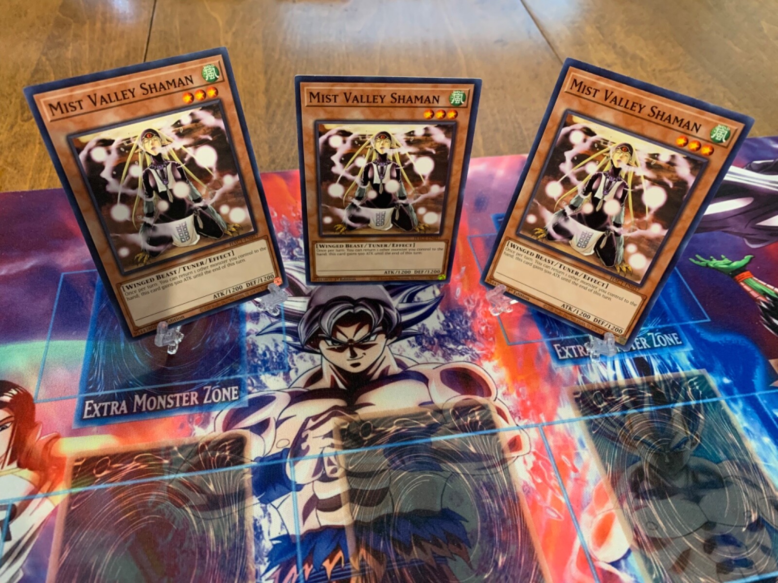 Mist Valley Shaman Art