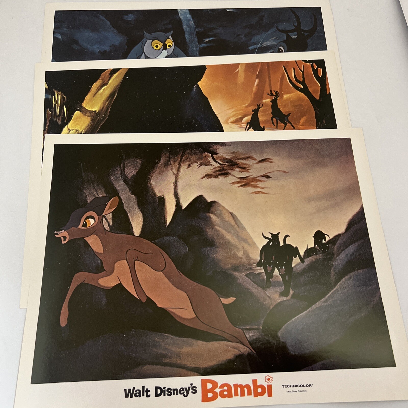 Bambi Lobby Card (1975 rerelease, 11x14 inches) - Walt Disney - Set Of ...