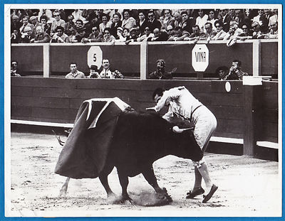 vintage photo bullfight torero Ordonez corrida accident foto Lima Peru ...