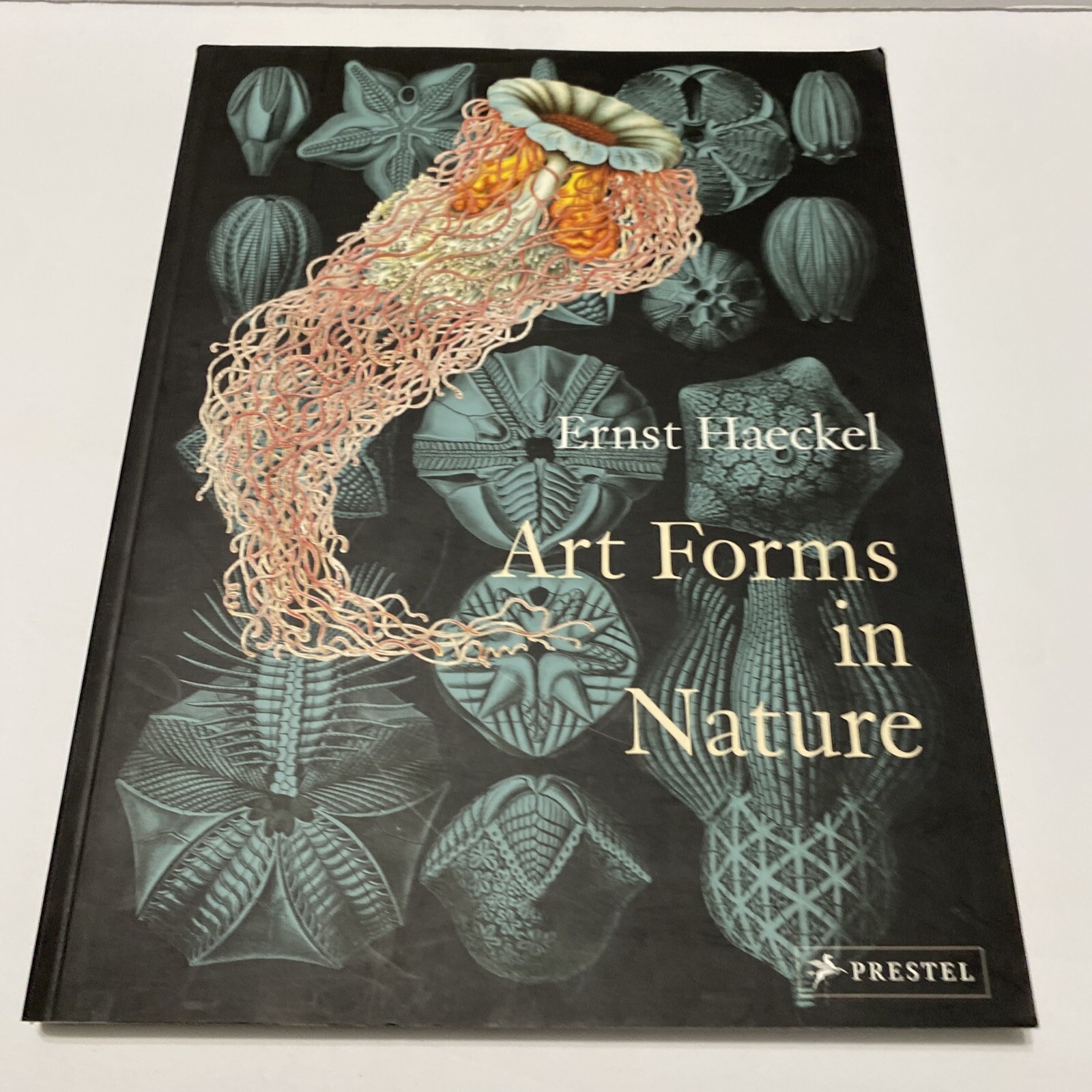 Art Forms in Nature: The Prints of Ernst Haeckel 9783791319902| eBay