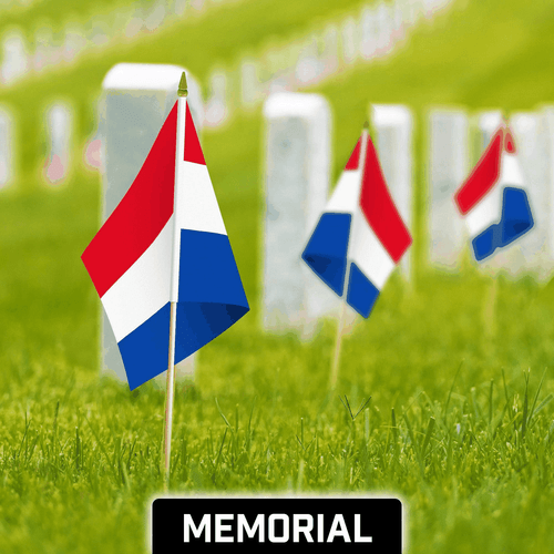 30 Pack Handheld Netherlands Dutch Stick Flags 12x18 In Printed 150D ...