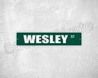 *Aluminum* Wesley 4" x 18" Metal Novelty Street Sign SS 3683 | eBay