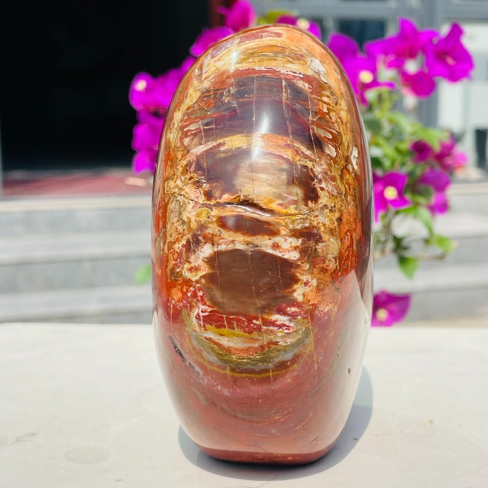 2.55LB Natural Red Petrified Wood Fossil Crystal Landscape Stone ...