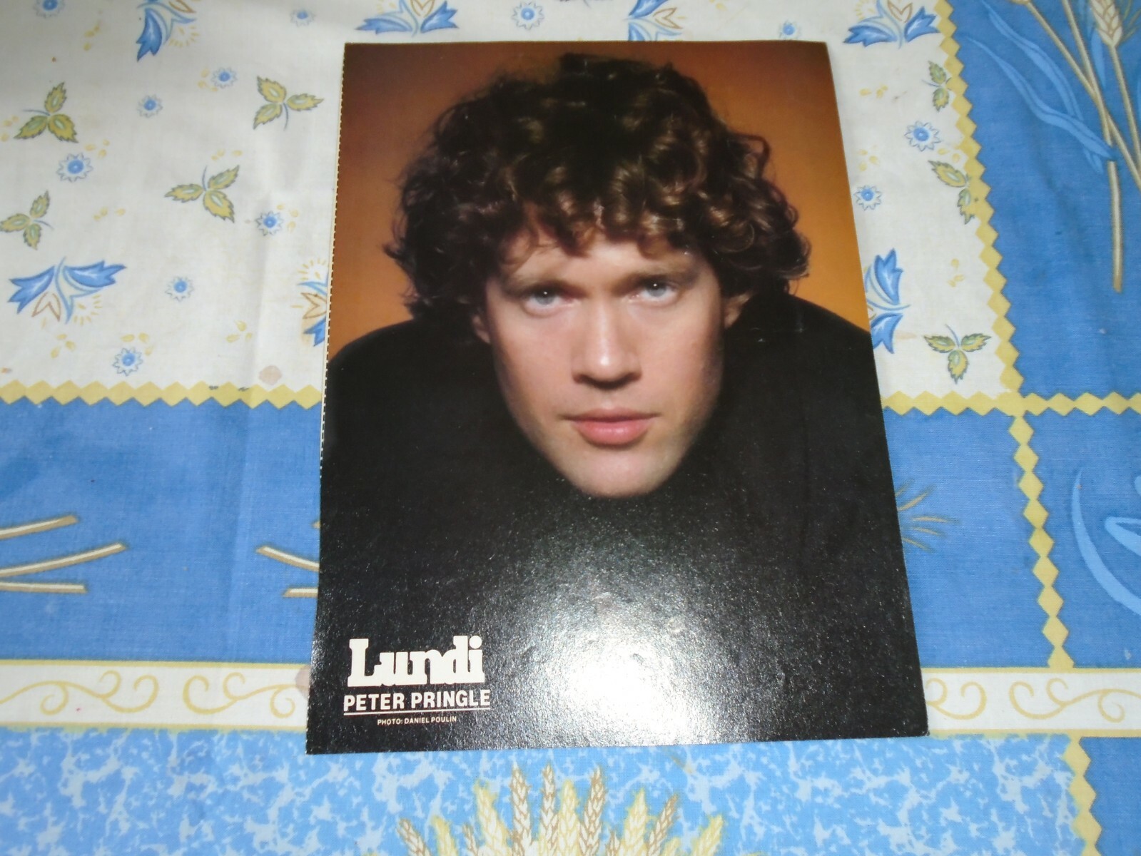 PETER PRINGLE POSTER COLOR 8 BY 11 INCHES | eBay