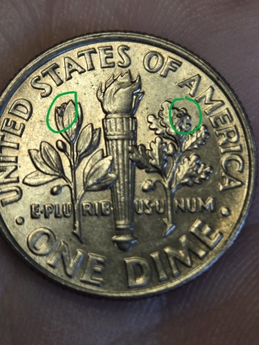 2021 P Roosevelt "Blooming Flower" Dime Error | eBay