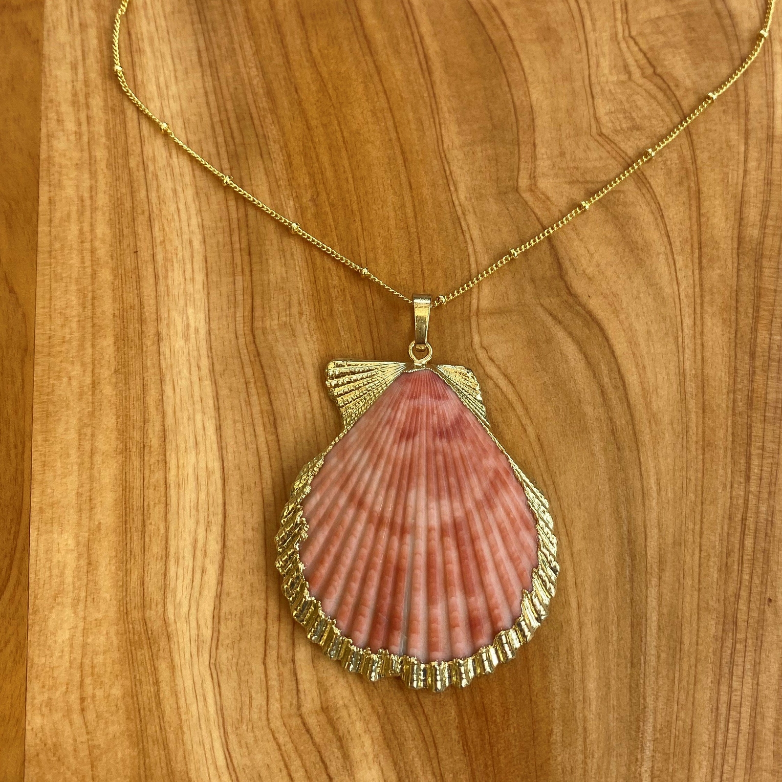 Coral Clam Shell Necklace, Summer Necklace | eBay