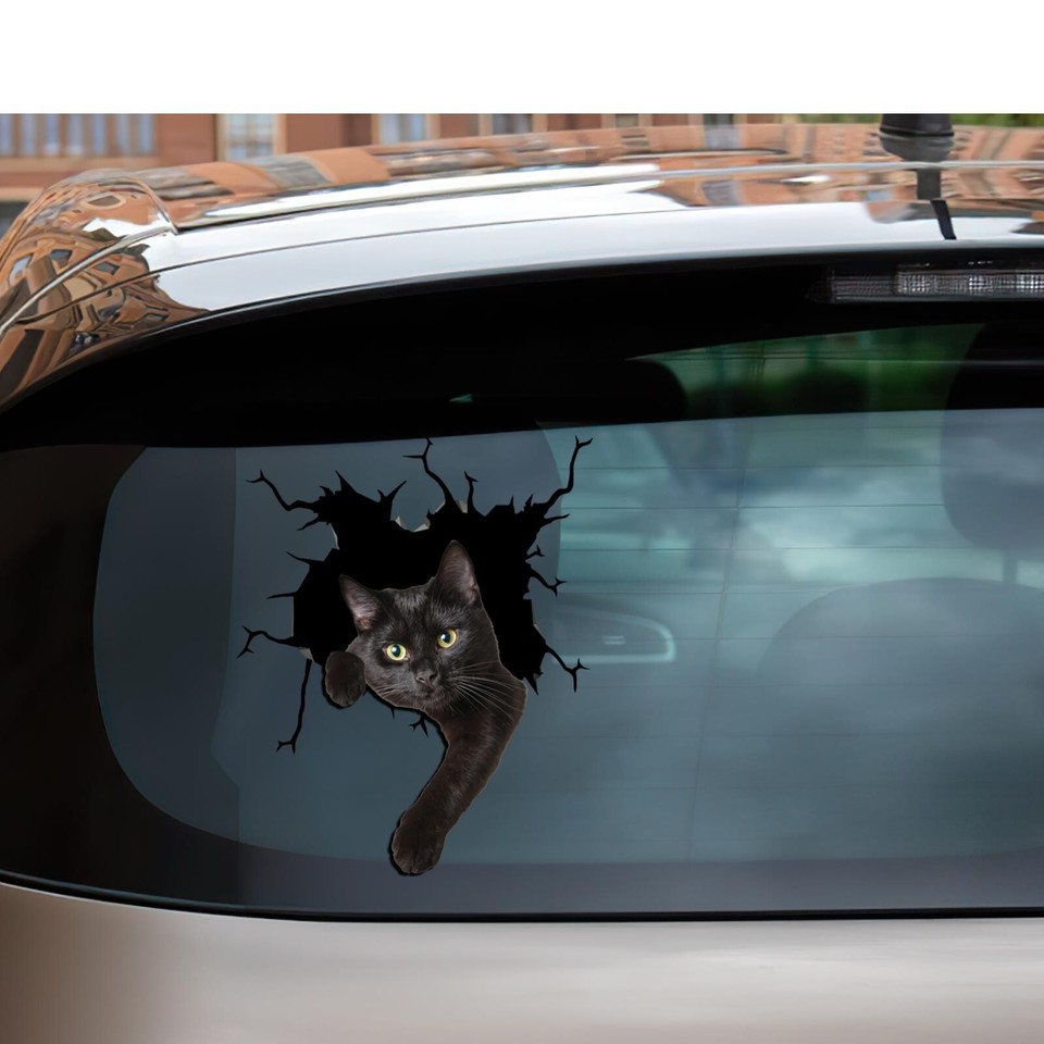 Black Cat Funny Stickers Large Black Cat Decal Cat Sticker Decal Funny ...