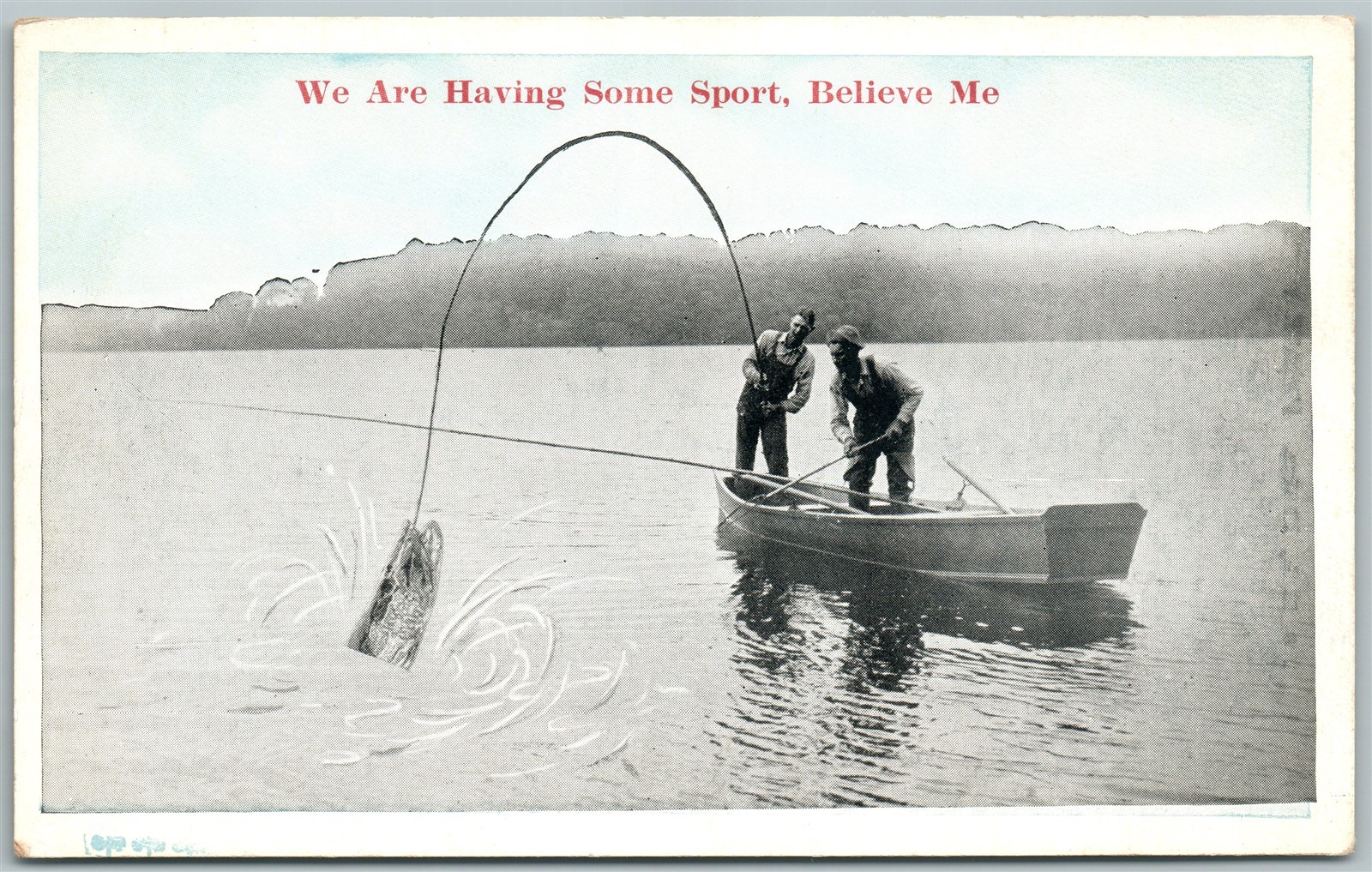 EXAGGERATED FISHING ANTIQUE POSTCARD FREAK FISH | eBay