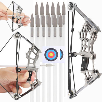 6" Mini Compound Bow Kit Toy Kid Gift RH LH Archery Arrows Target ...