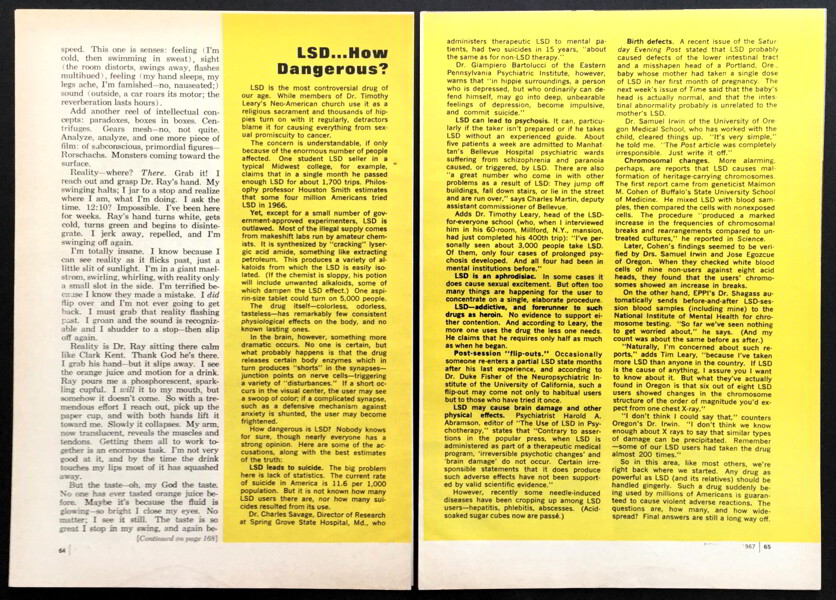 'My LSD Trip A non-cop, non-hippie report' | Grelly USA