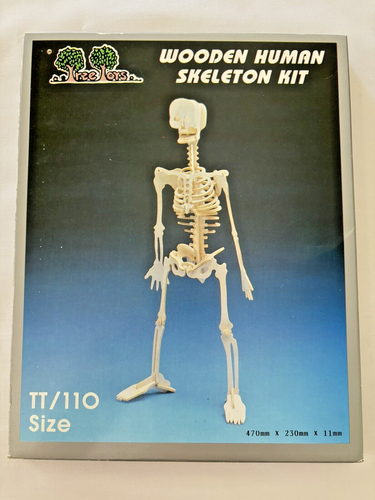 Wooden Human Skeleton Kit by Tree Toys. 40 precut push-out pieces. 47 cms tall. | eBay Australia