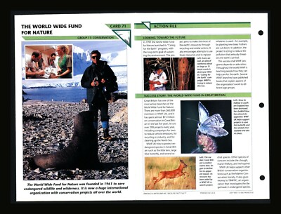 World Wide Nature Fund Wildlife Fact File Card Conservation Home School ...
