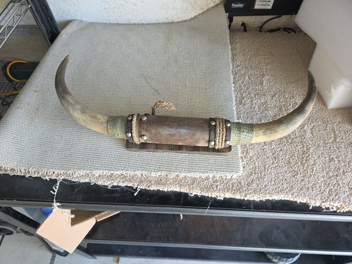MOUNTED STEER HORNS 24” wide LONGHORN Mottled Tan/Br Bull Rustic Ranch ...