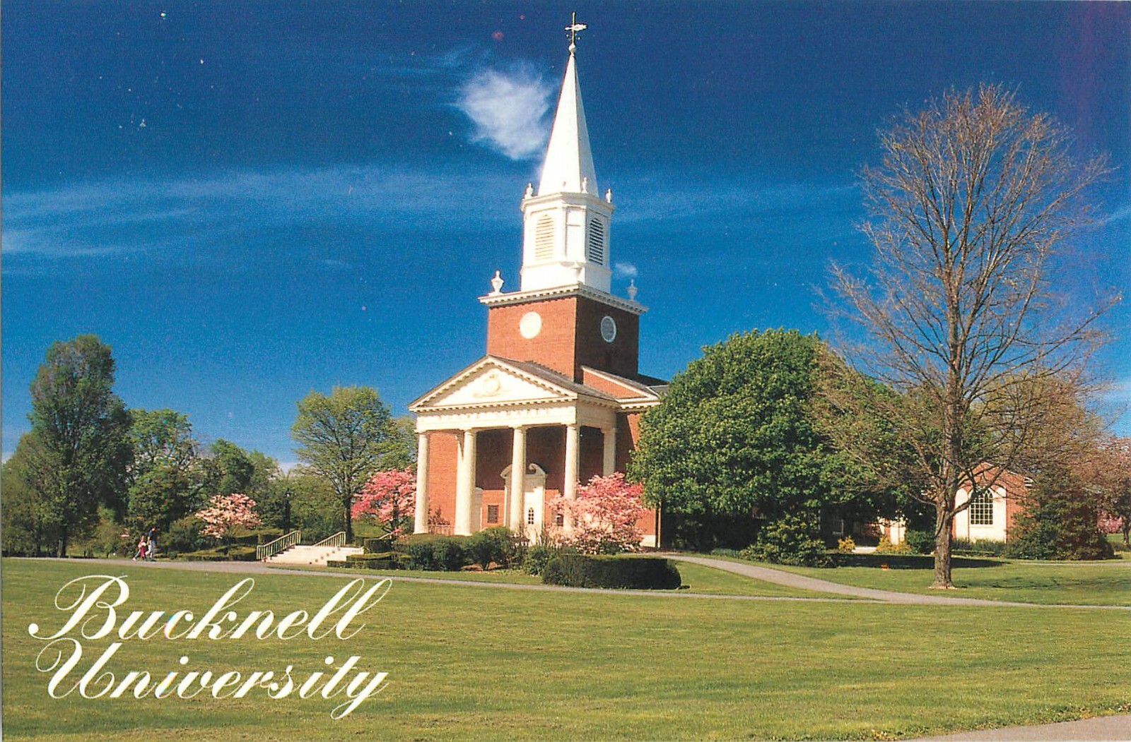 Bucknell University Rooke Chapel Lewisburg Pennsylvania Postcard | eBay