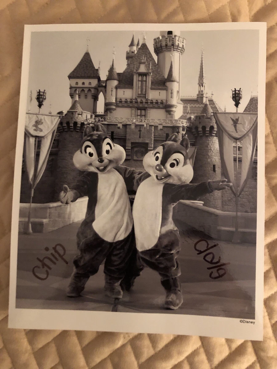 Chip And Dale Autograph