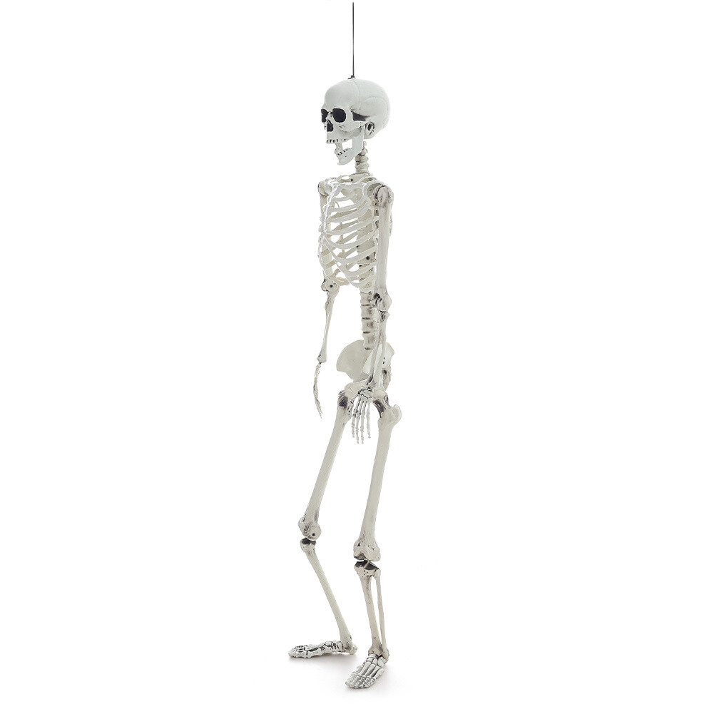 Giant Full Life Size Human Skeleton Model Horror Bone Posable Halloween ...
